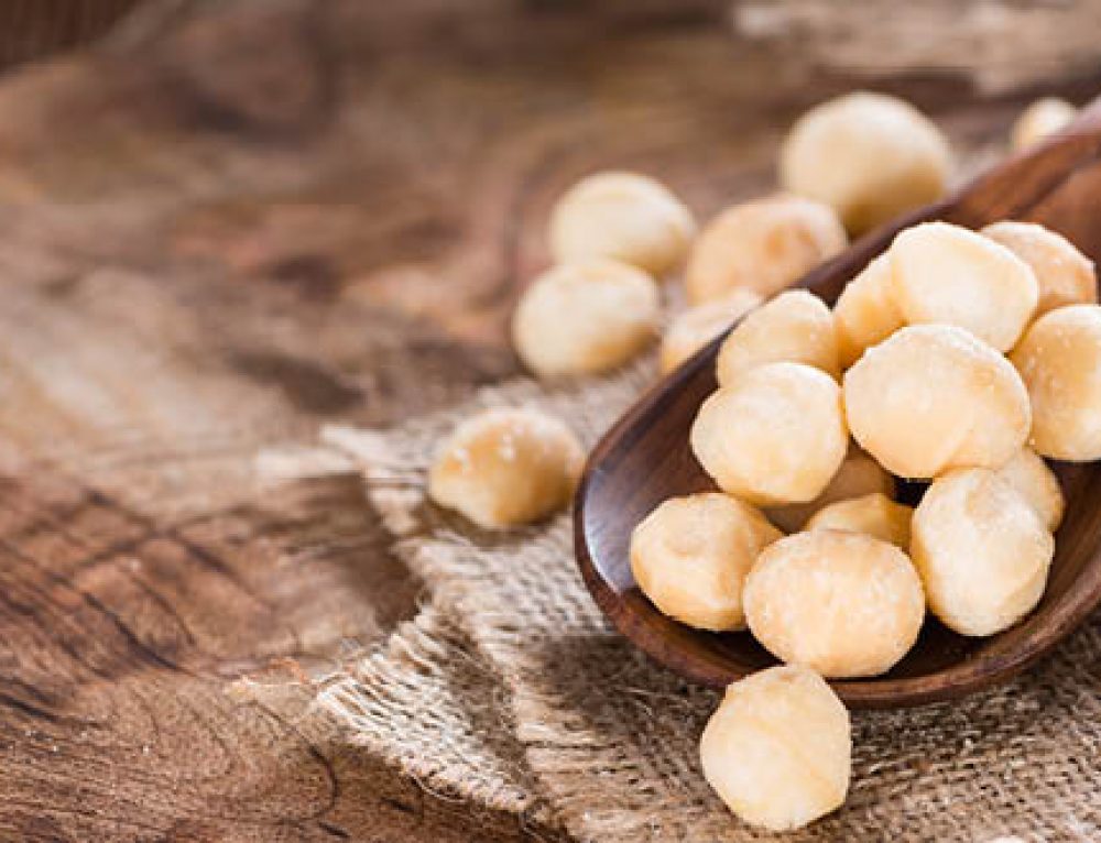 Coconut and Macadamia Fudge | Cabot Health