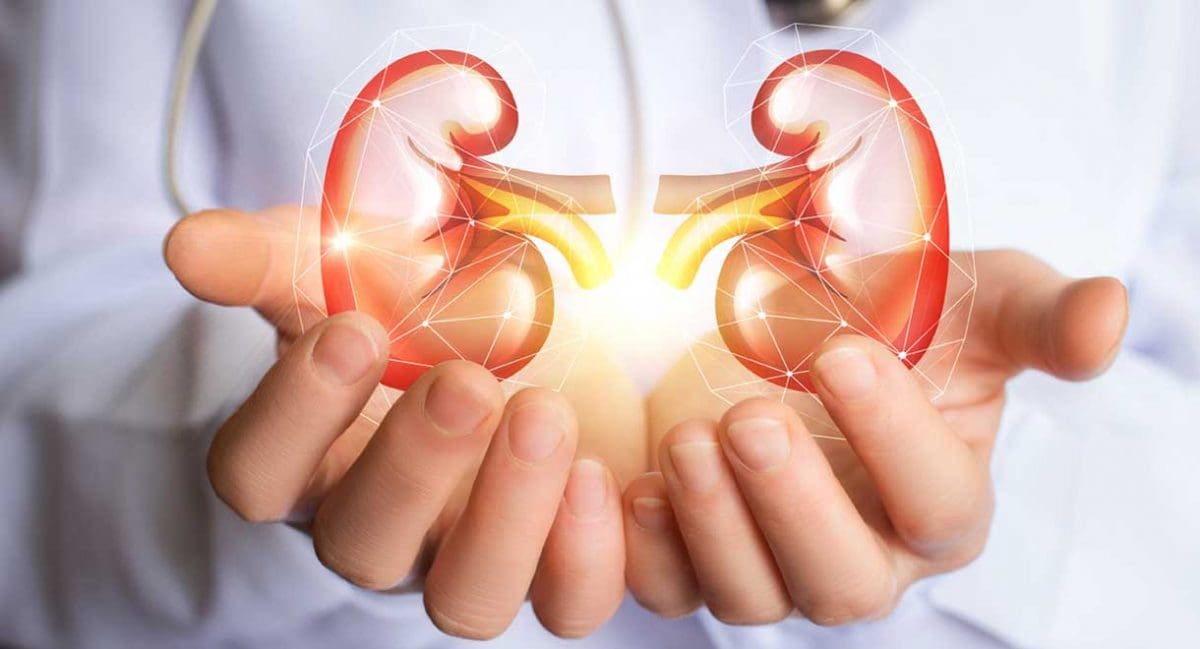 What You Must Know To Protect Your Kidneys | Cabot Health