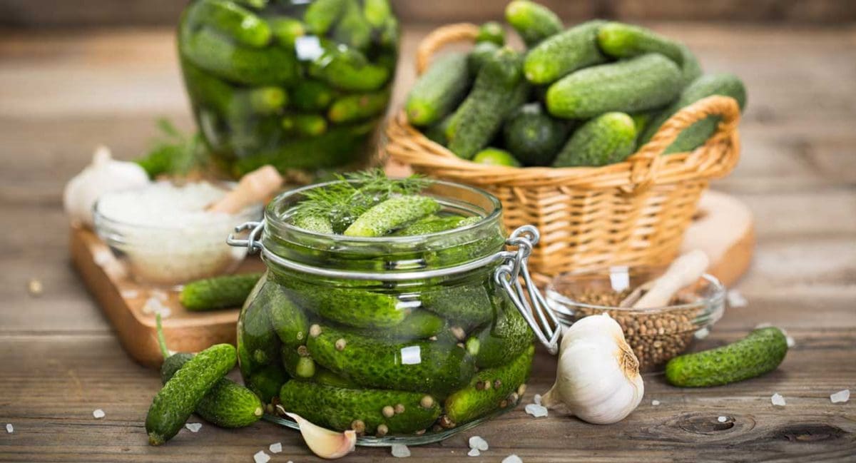 Homemade Gherkins | Cabot Health