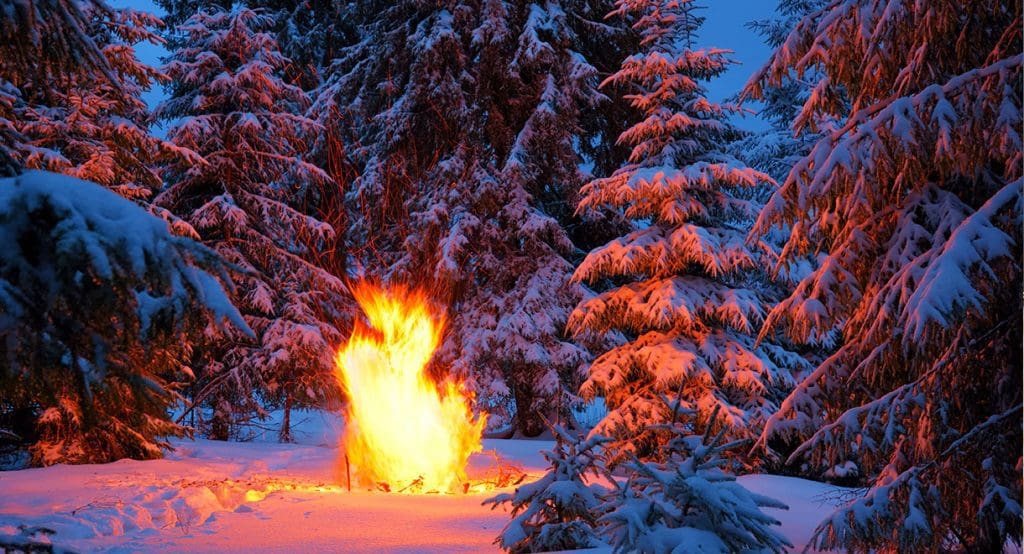 Cabot-Health-Bonfire | Cabot Health