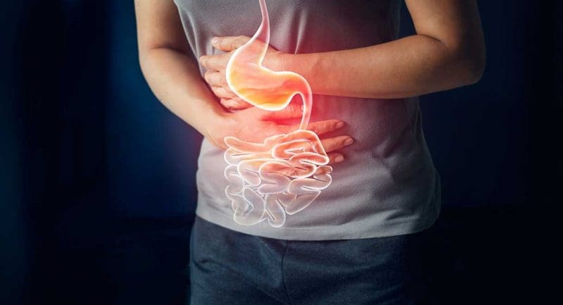 8 Surprising Things That Could Be Damaging Your Gut Microbiome | Cabot ...