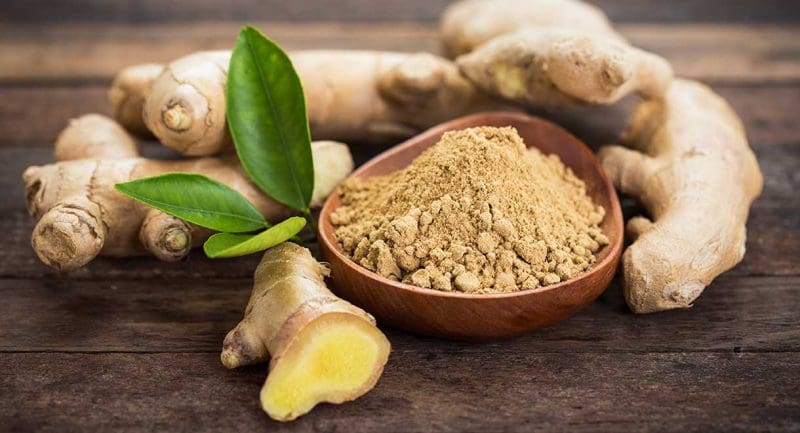 10 Healthy Gut-Foods You Should Be Eating | Cabot Health