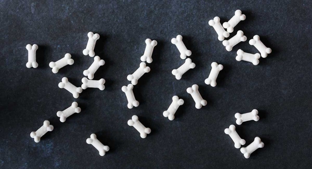 Tips For Building Strong Bones | Cabot Health