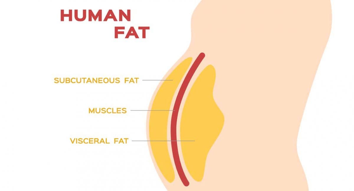 Are Your Hormones Giving You A Muffin Top? | Cabot Health