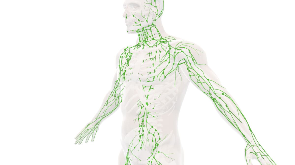 A sluggish Lymphatic System can hinder weight loss efforts | Cabot Health